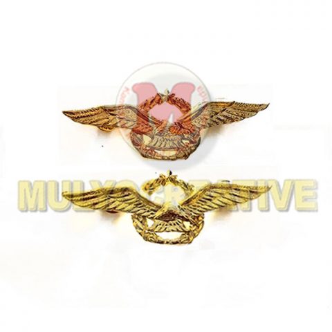 Beli Lencana Brevet Wing Penerbang TNI AU Bahan Logam Kuningan | pesan ...