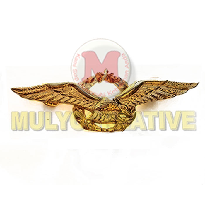 Beli Lencana Brevet Wing Penerbang TNI AU Bahan Logam Kuningan | pesan ...