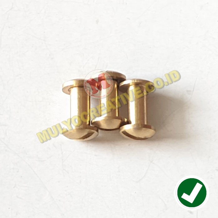 Beli Mur Baut Sabuk Kulit Ukuran 10mm – Paku Baut Jilid 1 Cm – Gold ...