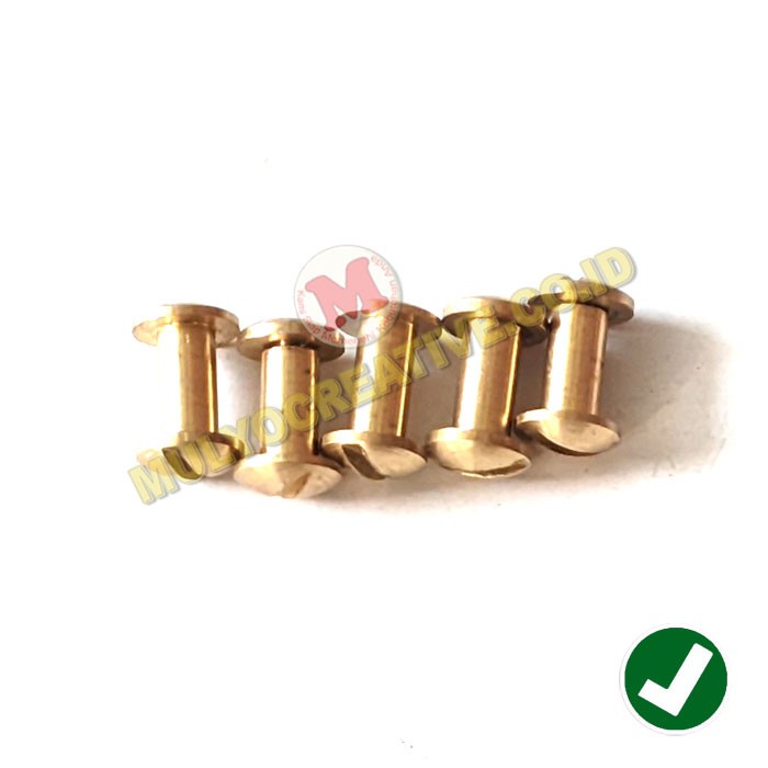 Beli Mur Baut Sabuk Kulit Ukuran 10mm – Paku Baut Jilid 1 Cm – Gold ...