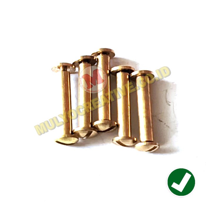Jual Mur Baut Sabuk Kulit Ukuran 25mm – Paku Baut Jilid 2.5 Cm – Gold ...