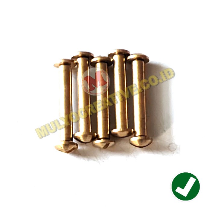 Pesan Mur Baut Sabuk Kulit Ukuran 30mm – Paku Baut Jilid 3 Cm – Gold ...