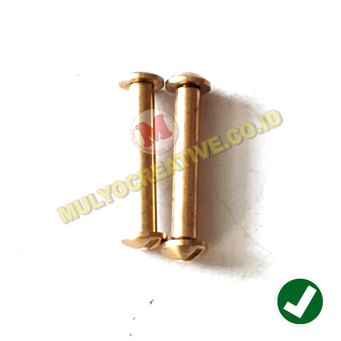 Pesan Mur Baut Sabuk Kulit Ukuran 30mm – Paku Baut Jilid 3 Cm – Gold ...